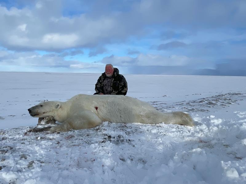 Baltosios meškos medžioklė šiaurės kanadoje | Medžioklė